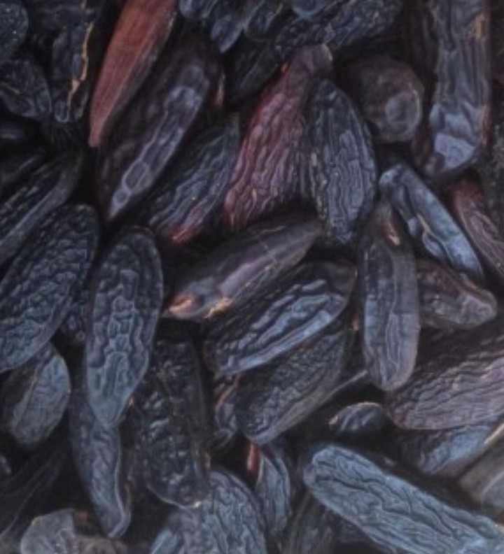Fava Tonka - Menta Brava